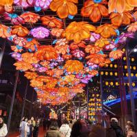China Custom Colorful Butterfly Hanging Light Tunnel, LED Canopy Walk‑Through Lantern Installation for Park, Garden & Lantern Festival for sale