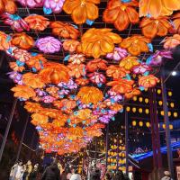 China Custom Colorful Butterfly Hanging Light Tunnel, LED Canopy Walk‑Through Lantern Installation for Park, Garden & Lantern Festival for sale