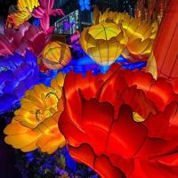 China Custom Large Peony Flower Lantern | Outdoor Waterproof Festival & Theme Park Decorative Light for sale