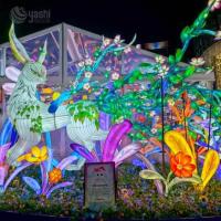 China Custom Large Mythical Reindeer Lantern - Outdoor Light Festival & Christmas Decor Lighting for sale