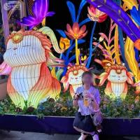 China Custom Cartoon Mythical Beast Family LED Lantern Set, Cute Animal Light Sculptures with Giant Floral Scenery for Theme Park Lantern Show for sale