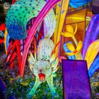 China Custom Fantasy Mythical Fox‑Beast LED Lantern, Gradient Color Spirit Animal Light Sculpture for Park Lantern Festival for sale