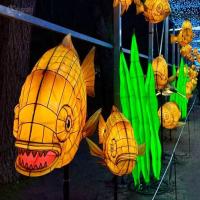 China Customized Marine-themed Lantern Tunnel - Complete Outdoor Lighting Festival Project Solution for sale