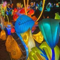 China Customized Marine-themed Lantern Tunnel - Complete Outdoor Lighting Festival Project Solution for sale