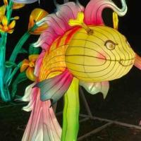 China Customized Marine-themed Lantern Tunnel - Complete Outdoor Lighting Festival Project Solution for sale