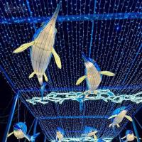 China Customized Marine-themed Lantern Tunnel - Complete Outdoor Lighting Festival Project Solution for sale