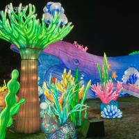 China Waterproof Marine Life Tunnel LED Lantern  Ideal for Amusement Parks, Shopping Malls & Light Festivals for sale