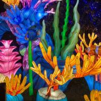 China Waterproof Marine Life Tunnel LED Lantern  Ideal for Amusement Parks, Shopping Malls & Light Festivals for sale