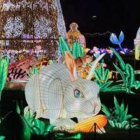 China Custom Festival Lighting Animal Sculpture Lantern Eagle LED Light for Outdoor Zoo Park Decoration for sale