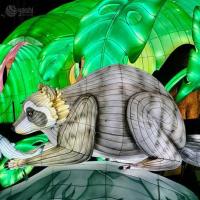China Custom Festival Lighting Animal Sculpture Lantern Eagle LED Light for Outdoor Zoo Park Decoration for sale
