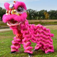 China Authentic Chinese Lion Dance Costume Handcrafted Realistic Twin Lion Performance Outfit for sale