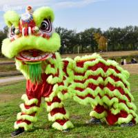 China Authentic Chinese Lion Dance Costume Handcrafted Realistic Twin Lion Performance Outfit for sale