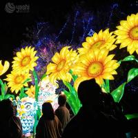 China Custom Giant Pink Tulip Lantern Group, Large LED Tulip Flower Light Sculptures for Light Festival Park Display for sale