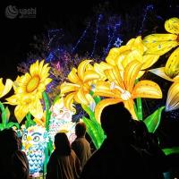 China Custom Giant Pink Tulip Lantern Group, Large LED Tulip Flower Light Sculptures for Light Festival Park Display for sale