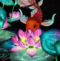 China Large Handmade Koi Fish LED Motif Light for Garden Water Feature and Carnival Light Show Display for sale