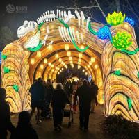 China Large Jurassic Dinosaur Skeleton LED Lantern Archway Waterproof Sculpture for Amusement Park Decoration for sale