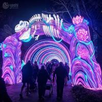 China Large Jurassic Dinosaur Skeleton LED Lantern Archway Waterproof Sculpture for Amusement Park Decoration for sale
