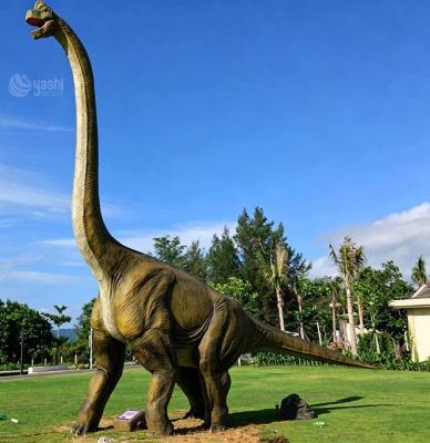 China Giant Life Size Animatronic Dinosaur Brachiosaurus Simulation Model for Theme Park Zoo Museum Outdoor Landscaping for sale