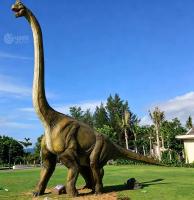 China Custom Giant Life Size Animatronic Brachiosaurus Simulation Dinosaur Model for Theme Park Zoo Museum Outdoor Decoration for sale