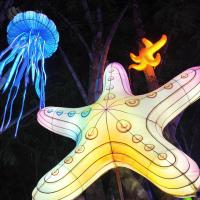 China Custom Hand‑made Giant Glowing Betta Fish Lantern Immersive Ocean‑Theme Light Installation for Park and Zoo Night‑Tour Festival Decorations for sale