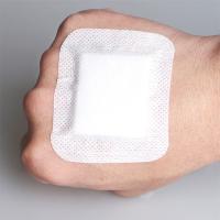 China CAS4253 34 3 Medical Hot Melt Adhesive Zinc Oxide Adhesive SGS VOC for sale
