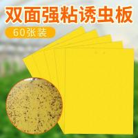 China Odorless PSA Hot Melt Adhesive 4253-34-3 Insect Mouse Trap Glue for sale