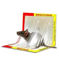 China Odorless PSA Hot Melt Adhesive 4253-34-3 Insect Mouse Trap Glue for sale