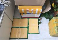 China UV Resistance Hot Melt Glue Adhesive Odorless Mouse Catcher Glue for sale