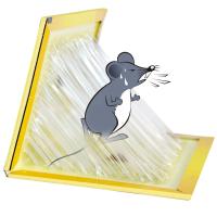 China Fly Insect Rat Control PSA Hot Melt Adhesive Glue CAS No.4253-34-3 for sale
