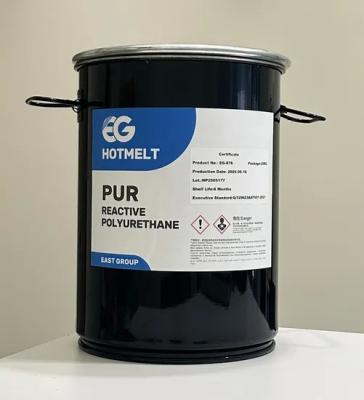 China PUR Hot Melt Adhesive for Woodworking Edge Banding EG-813 for sale