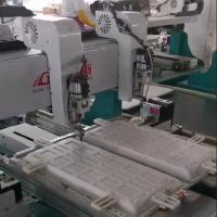 China Double station Automatic Screw Locking Machine designed to optimize street light assembly by automating screw locking process for sale