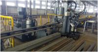 China CNC Angle Punching Machine Line For Steel Tower Fabriaction Punching Force 1000kN for sale