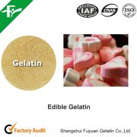 China Unflavored Edible Bovine Gelatin 200-280 Bloom Beef Skin Gelatin Powder For Food Industry for sale
