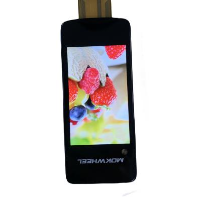 China IPS 3.1'' TFT LCD Display 480rgbx800 Resolution Screen With Boe Glass for sale
