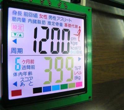 China FSC LCD Module Customizable 12H Negative Black Transmissive Field Sequential Color Winstar for sale