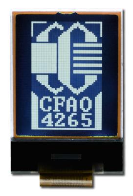 China 1.0'' Graphic LCD Module FSTN 42*65 Negative 12h St7565r Cfao4265A 100% Replicate Wide Temperature Customize for sale