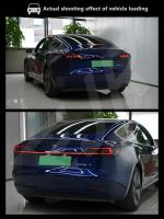 China Through Taillight Assembly For Tesla Model 3 19-22 Retrofitting Car Retrofitting With Running Water Steering for sale