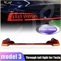 China Through Taillight Assembly For Tesla Model 3 19-22 Retrofitting Car Retrofitting With Running Water Steering for sale
