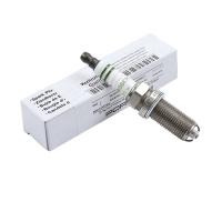 China Spark Plug 3.0 3.6 4.8 For Porsche Cayenne 958 997 987 970 OEM 99917013090 95817022290 for sale