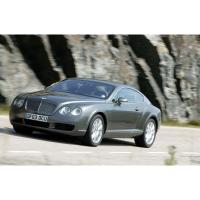 China 2013- Flying Spur Radiator Grille D-05 10 2015 For Bentley Continental W0 853 683/684 for sale