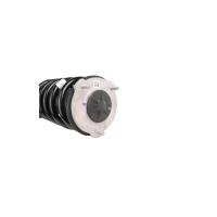 China Tesla Model 3 Model Y 4matic 2018 Shock Absorber Prop Assembly 118837100C 100% Tested for sale