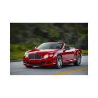 China Front Bumper Net 3w3 807 647/648 The Perfect Fit For Your Bentley Continental GT GTC for sale