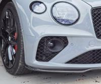 China Continental GT/GTC Front Bumper Grille OEM 3SD807647A For Automotive Body Accessories for sale