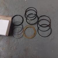 China 3.0 V6 Engine Piston Rings For Ghibli Levante Quattroporte OEM 318341 318342 Tested for sale