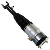 China Oe No. 1030608 Auto Parts For Tesla Model S Air Shock Absorber Strut Front 2017-2019 for sale