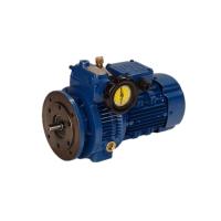 China MBL40 Series Infinite Speed Variator with Motor 40-200rpm Adjustable Speed Planetary Worm Gearbox Mechanical Speed Variator for sale