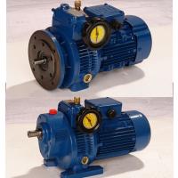 China MBL40 Series Infinite Speed Variator with Motor 40-200rpm Adjustable Speed Planetary Worm Gearbox Mechanical Speed Variator for sale