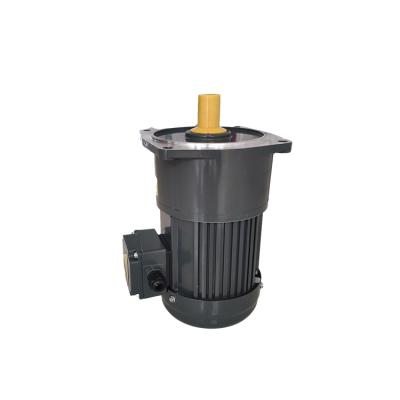 China GV22 Medium Gear Motor 400W 1/2HP Variable Gear Induct Motor AC Gear 3 Phase 380V for sale