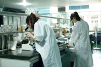 China 242-960-5 Plastic Modifiers Pentaerythrityl Oleate PETO PVC De - Mould Liquid for sale
