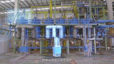China SGS PVC Lubricants Distilled Monoglyceride DMG95 GMS99 For Household Chemicals for sale